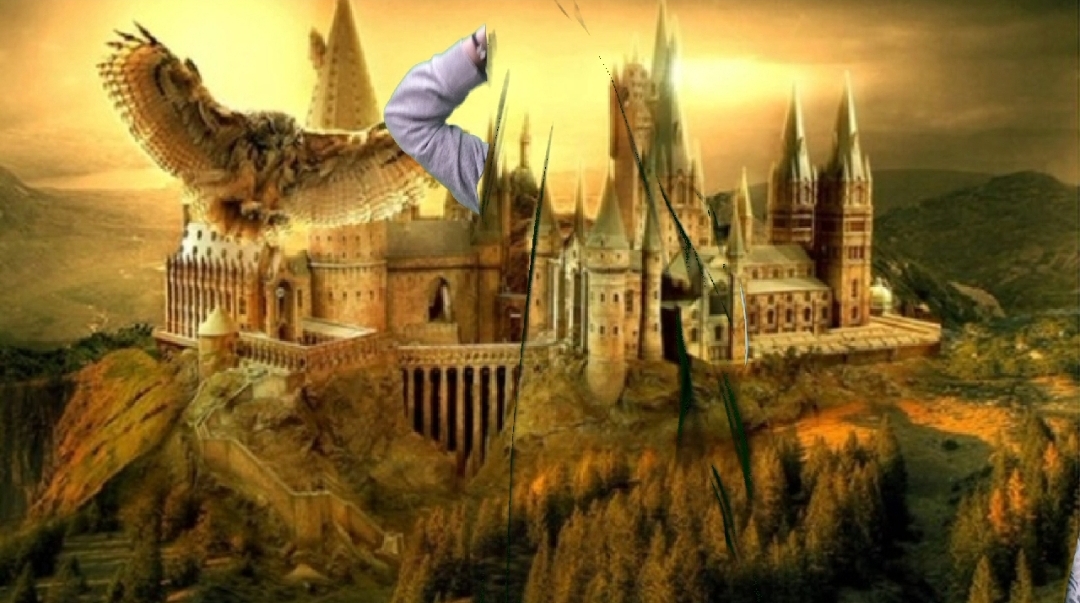 Croma casero: ¿cómo hacerlo? Tela de croma en Tejidos Alberto